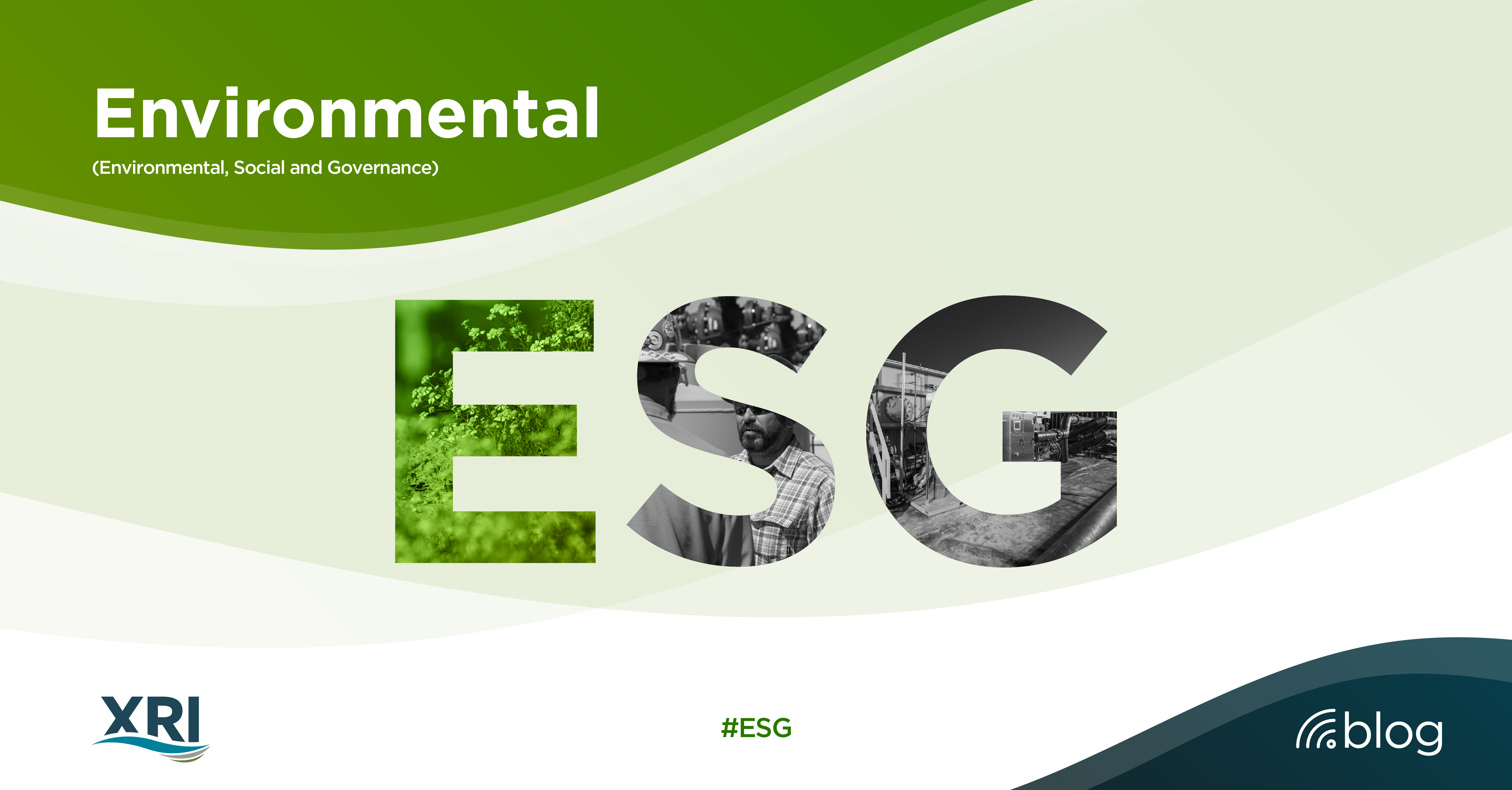 The Executive’s Guide to ESG: Environmental, Social and Governance