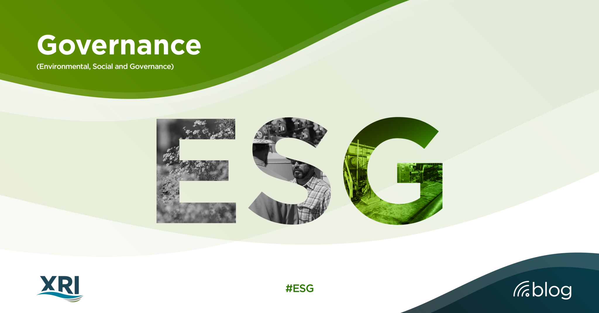 The Executive’s Guide to ESG: Governance