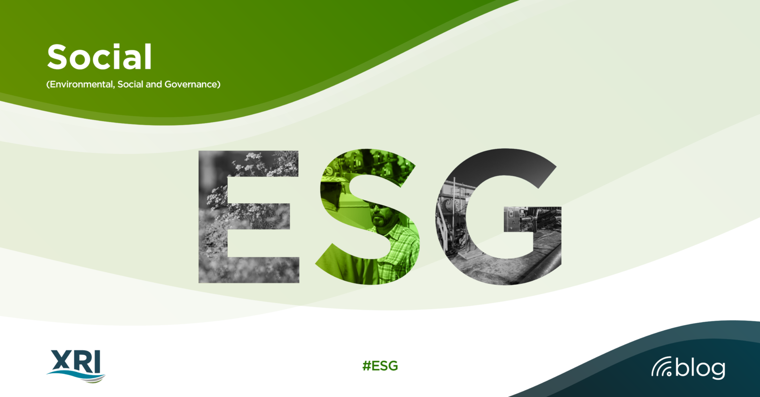 The Executive’s Guide to ESG: Social